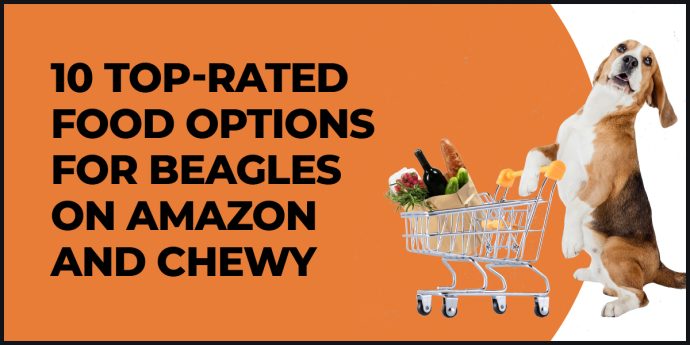 10 Best Dog Foods for Beagles on Amazon and Chewy in 2024