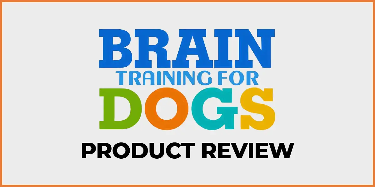Best Beagle Training Program Review – Brain Training for Dogs