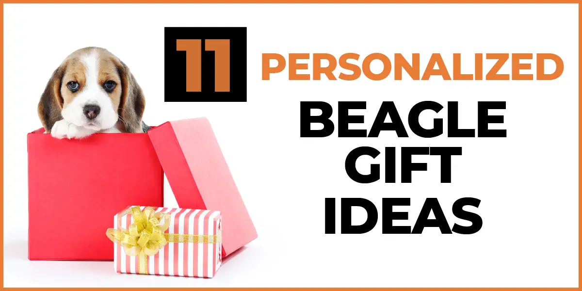 11 Personalized Beagle Gifts | OMG Beagle