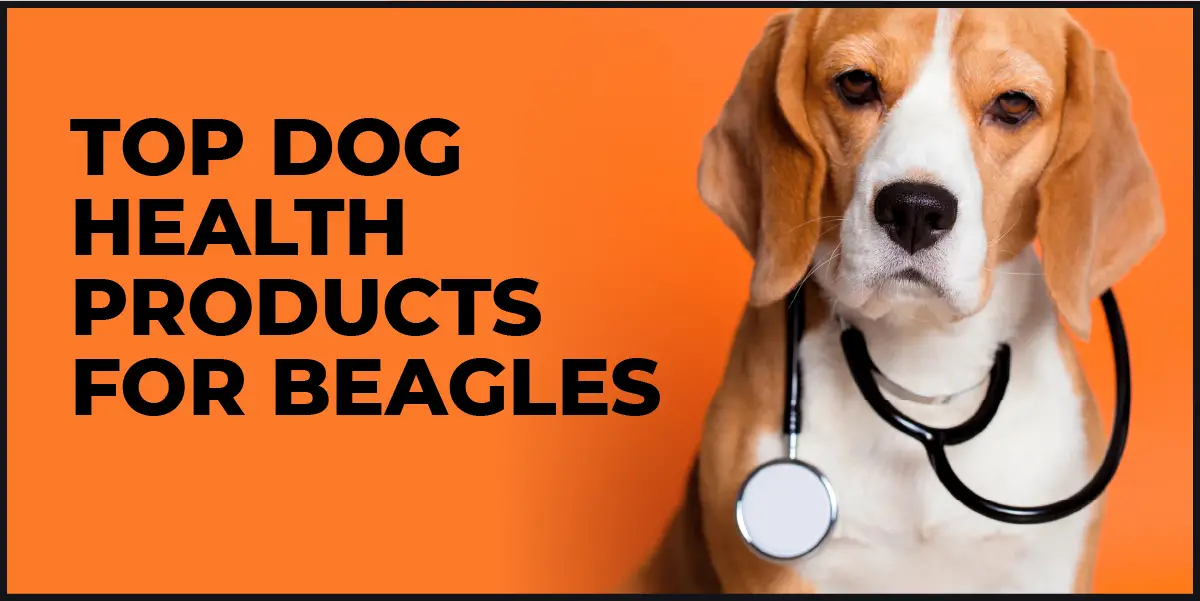 Top Dog Health Products for Beagles – For Their Best Life | OMG Beagle
